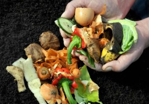 The Process of Making Biogas: A Step-by-Step Guide – Manufacturer of ...