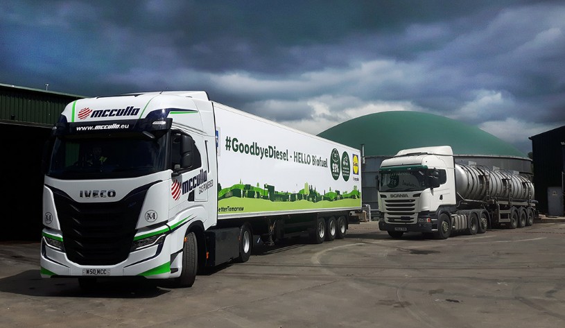 Biogas Use for Cooking, Power, and Vehicle Fuel – Manufacturer of ...